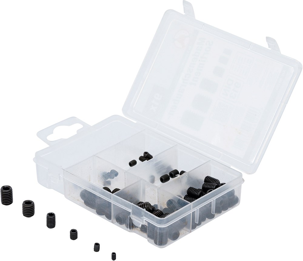 Assortimento viti vermi fai da te BGS, 91 pezzi Alta qualità dal professionista ricambi auto | da oltre 20 anni